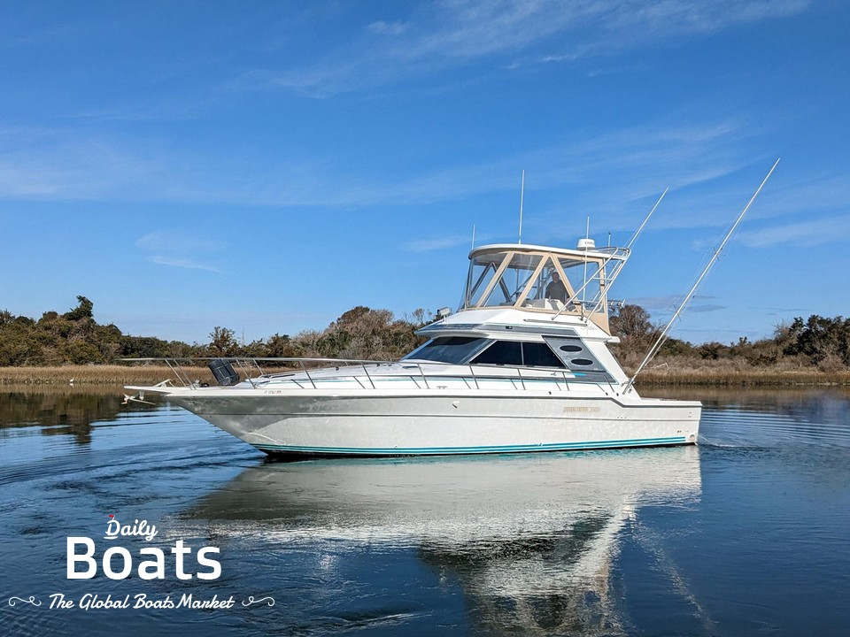 Sport fishing boats Sea Ray 30 for sale - Daily Boats