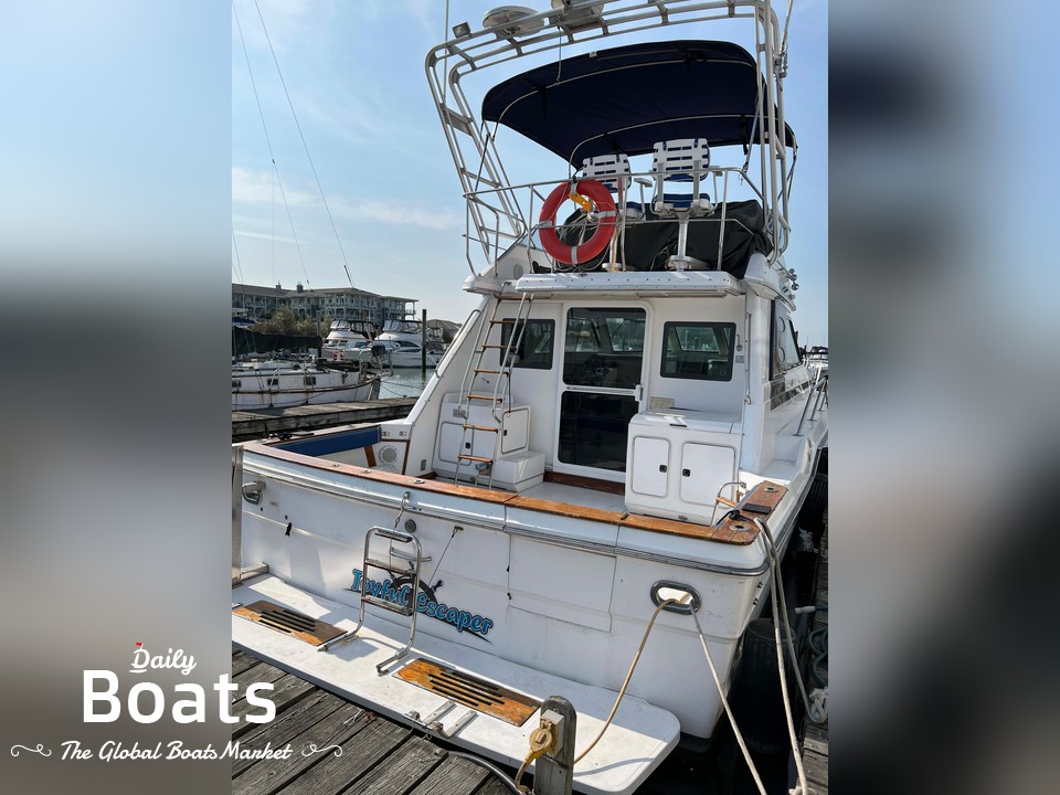 1989 Sea Ray 440 Convertible for sale. View price, photos and Buy 1989 ...