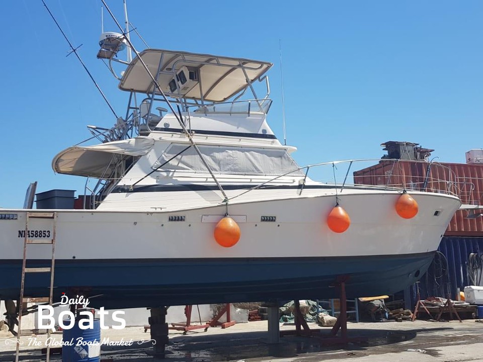 1981 Viking 40 for sale. View price, photos and Buy 1981 Viking 40 #456155