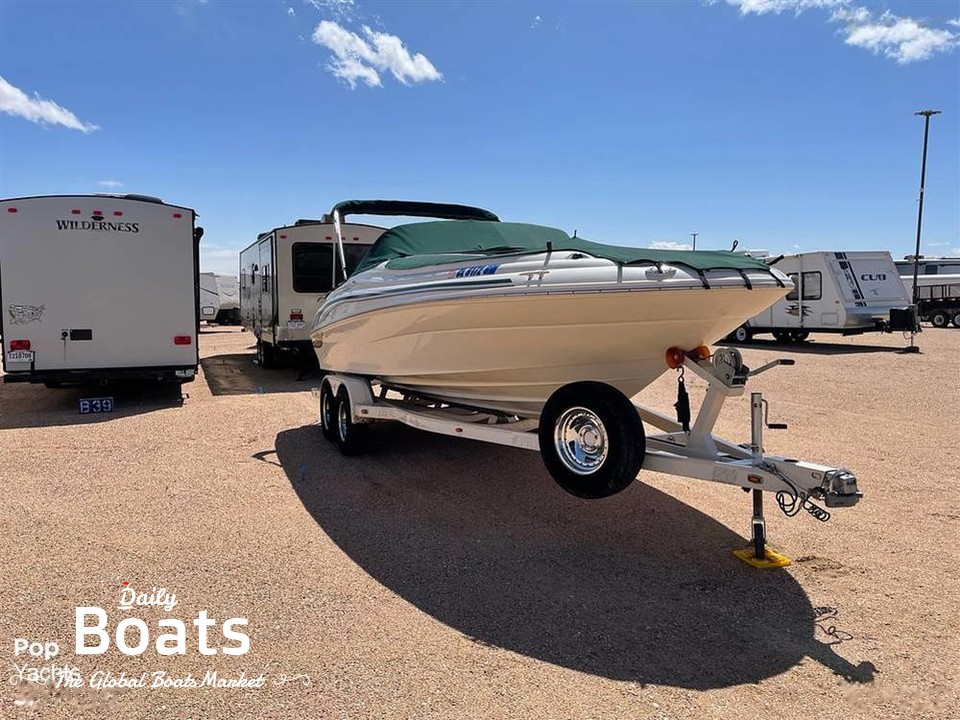 2001 Sea Ray Boats 210 Sundeck for sale. View price, photos and Buy ...