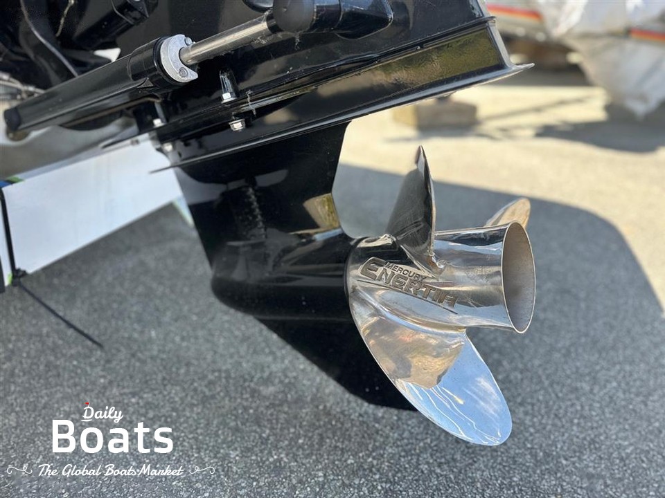 2022 Sea Ray Boats 190 for sale. View price, photos and Buy 2022 Sea ...