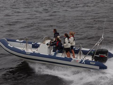 2012 Rib-X Expert 750 for sale. View price, photos and Buy 2012 Rib-X ...