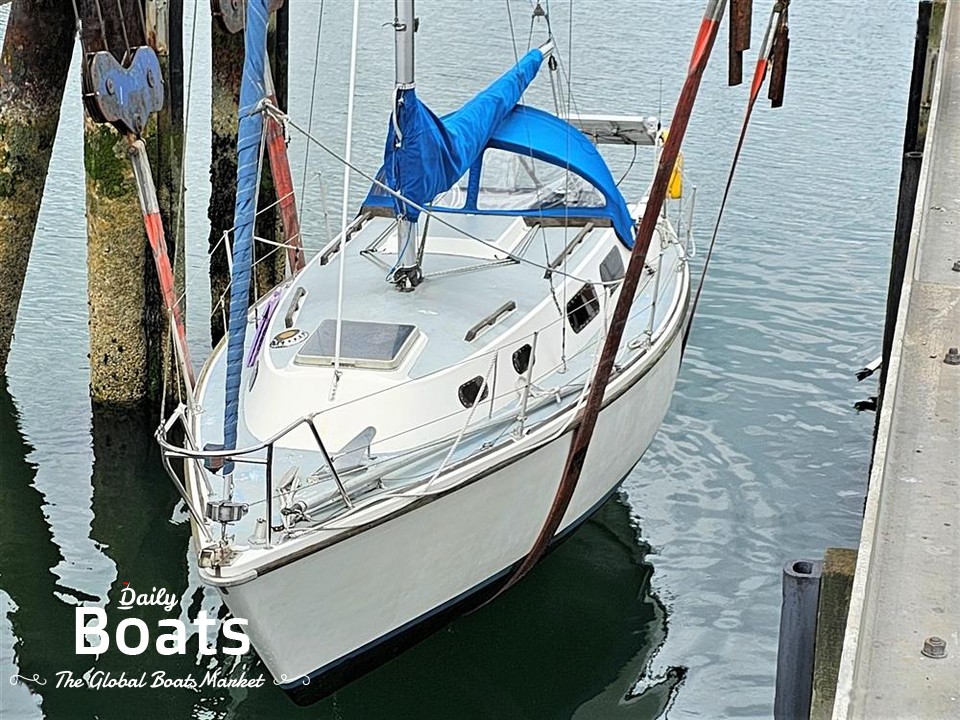 Used sloops Westerly griffon for sale - Daily Boats
