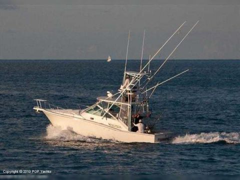2001 Cabo 31 Express Sport Fisherman for sale. View price, photos and ...