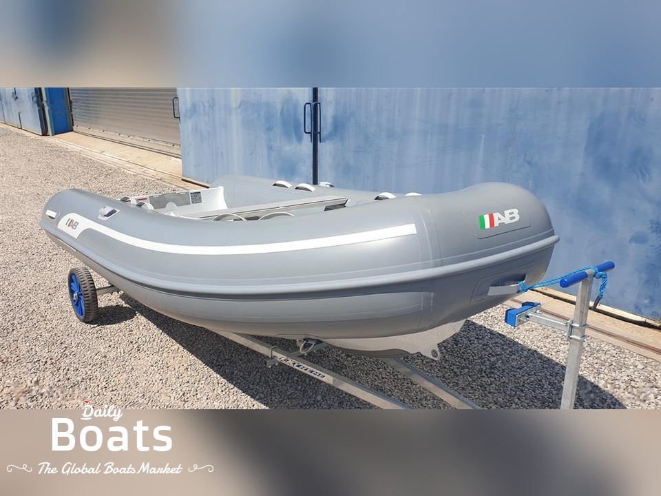 2021 AB Inflatables Custom 10 Al for sale. View price, photos and Buy ...