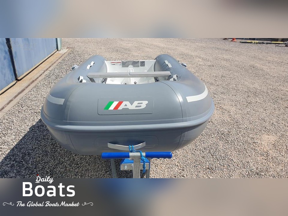 2021 AB Inflatables Custom 10 Al for sale. View price, photos and Buy ...