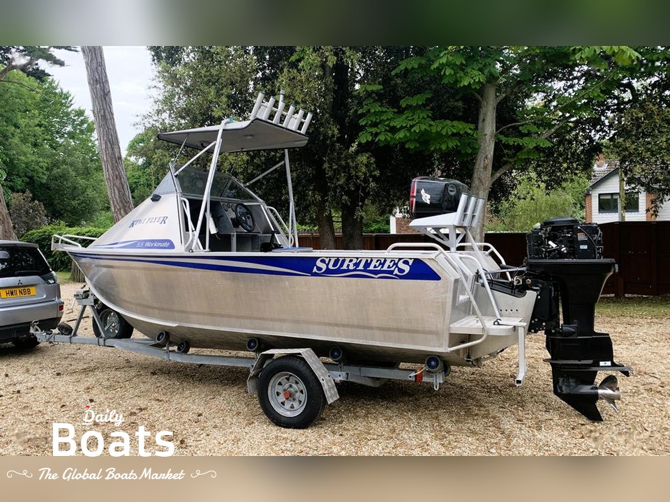 2008 Surtees Boats 5.5 Workboat for sale. View price, photos and Buy ...