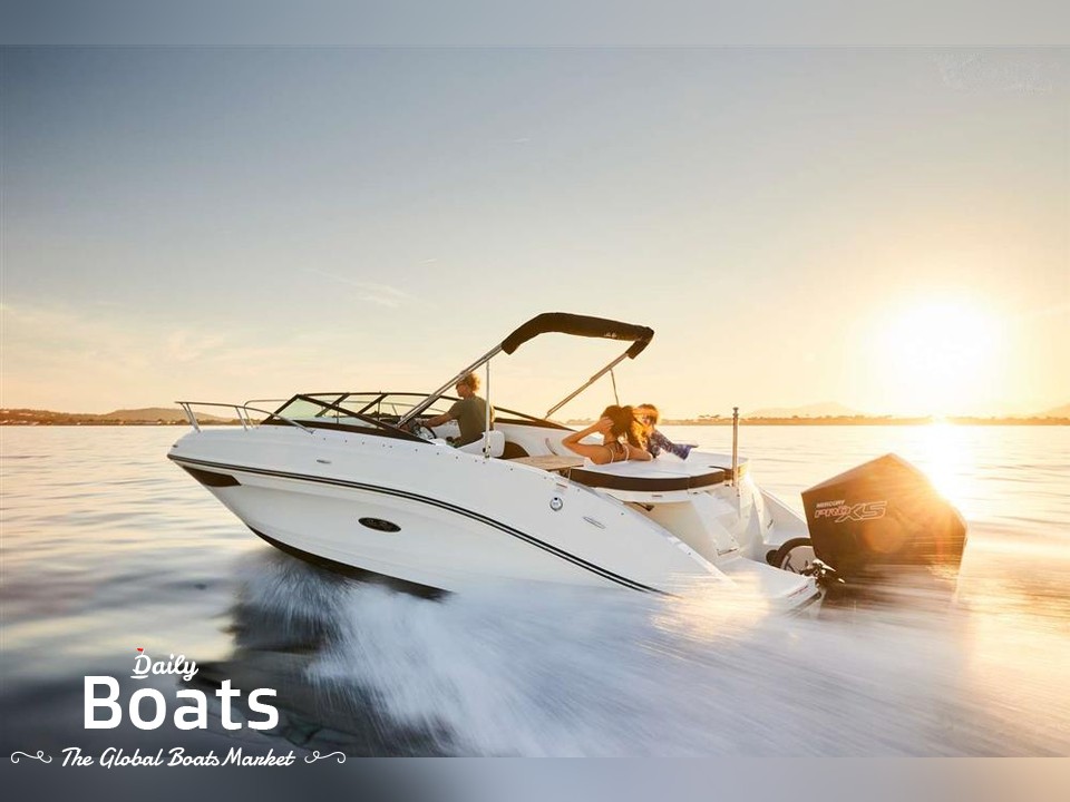 Cuddy boats Sea Ray Boats for sale - Daily Boats