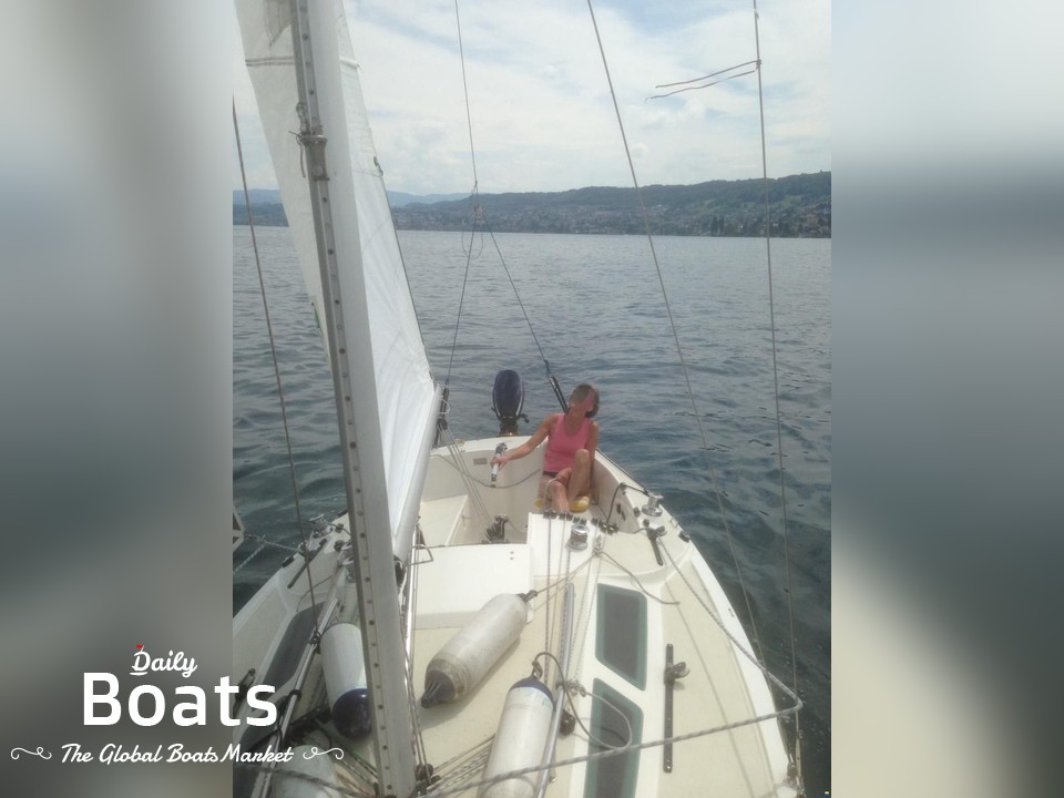 1991 O.L.-Boats International 806 for sale. View price, photos and Buy ...