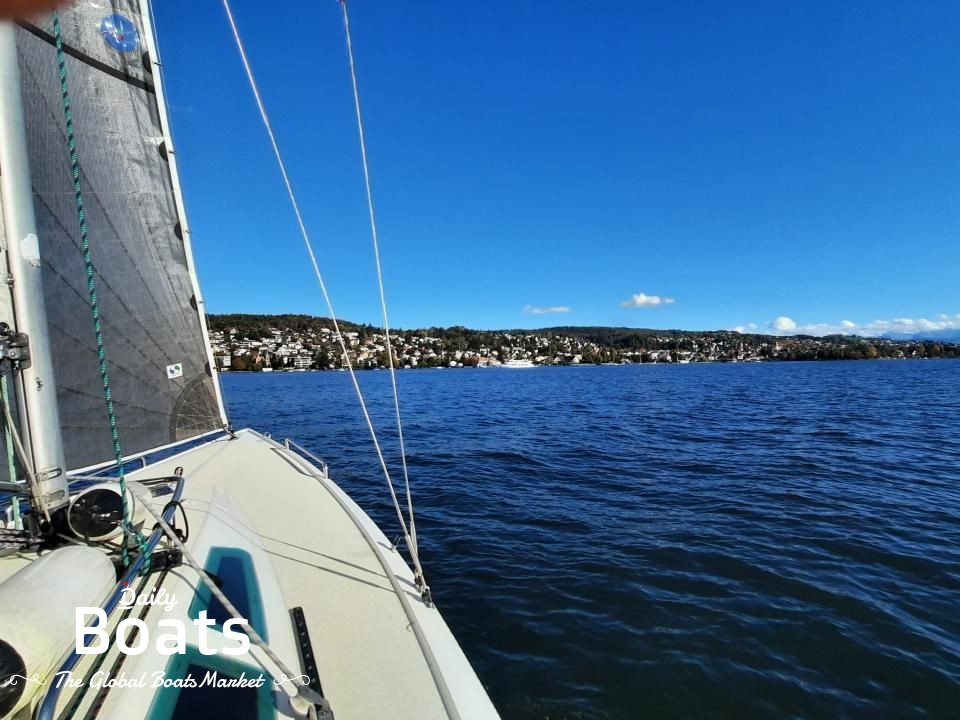 1991 O.L.-Boats International 806 for sale. View price, photos and Buy ...