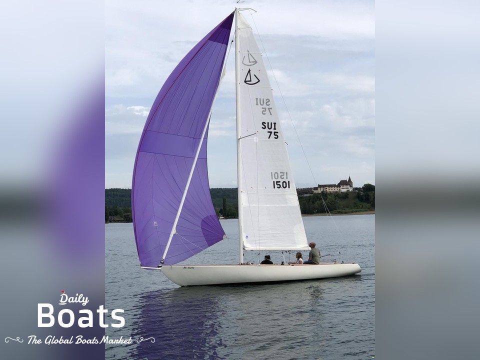 1975 Luthi Flying Forty De Sport for sale. View price, photos and Buy ...