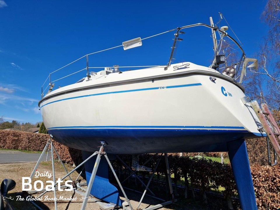 1982 Unknown Maxi Fenix Maxi Fenix for sale. View price, photos and Buy ...