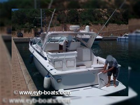 1999 Bertram 36 Moppie for sale. View price, photos and Buy 1999 ...