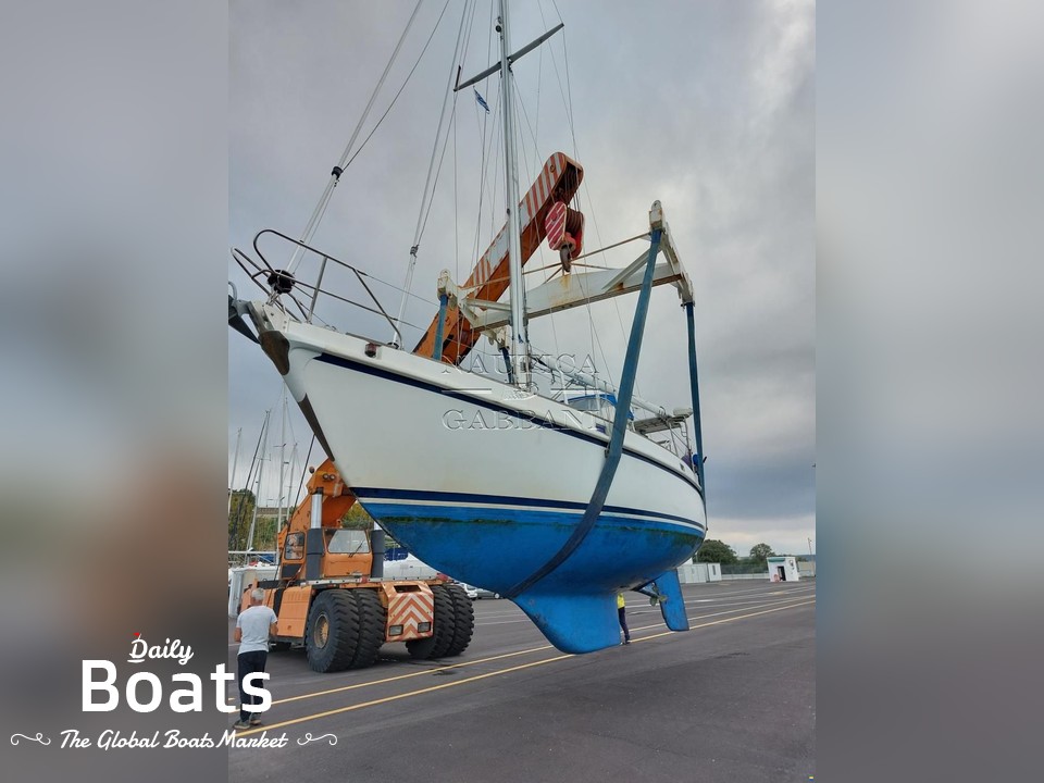 1978 Alpa 38 for sale. View price, photos and Buy 1978 Alpa 38 #473284