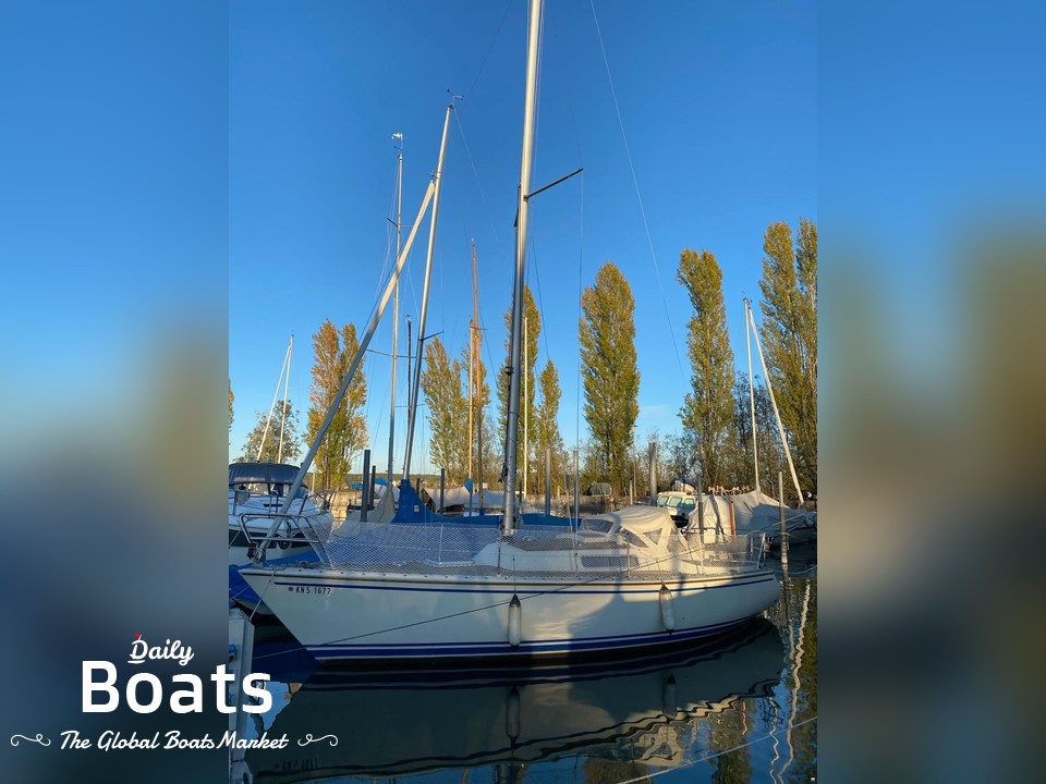 1985 Albin Alpha 29 for sale. View price, photos and Buy 1985 Albin ...