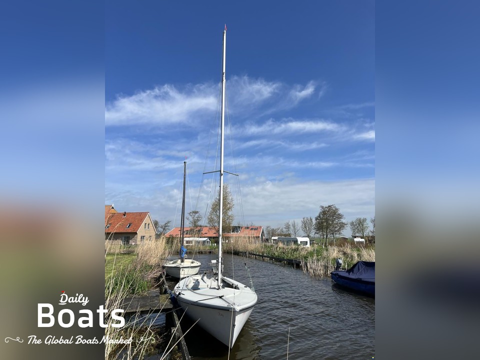 1994 Unknown Randmeer Advance for sale. View price, photos and Buy 1994 ...