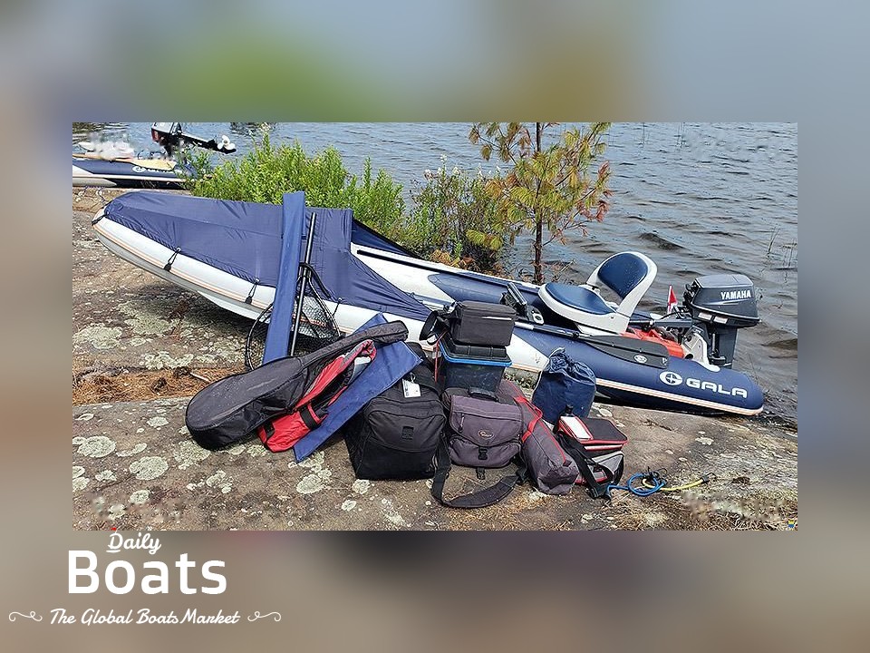 2023 GALA C380 for sale. View price, photos and Buy 2023 GALA C380 #476131