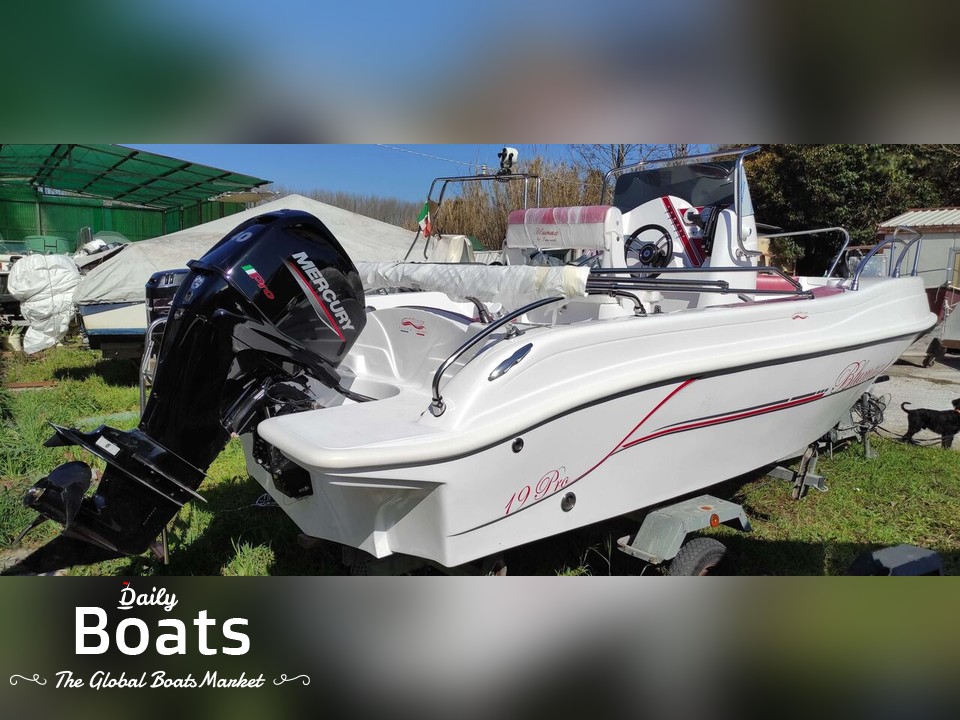 2023 Blumax (Bluline) 19 Pro for sale. View price, photos and Buy 2023 ...