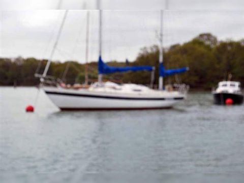 1980 Biscay 36 for sale. View price, photos and Buy 1980 Biscay 36 #47742