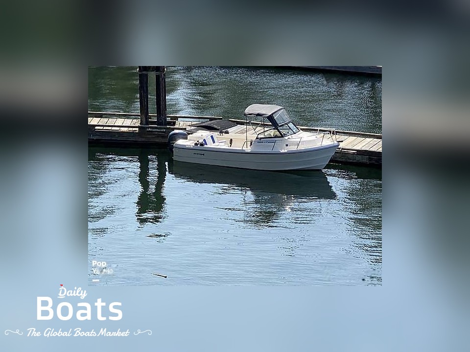 2018 Carolina Skiff Arima 19 Sea Chaser for sale. View price, photos ...