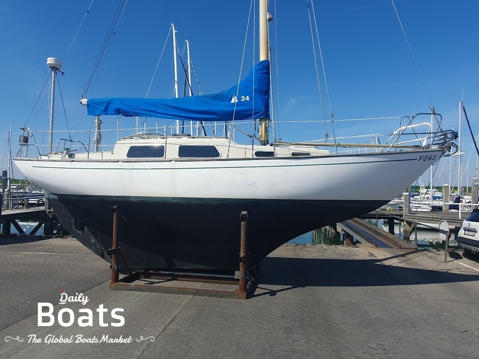 1998 Great Dane 28 for sale. View price, photos and Buy 1998 Great Dane 28 #478943