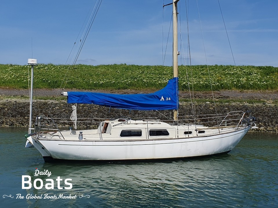 1998 Great Dane 28 for sale. View price, photos and Buy 1998 Great Dane 28 #478943