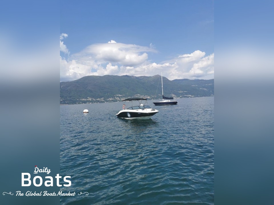 2018 Sea Ray Martini 210 Spx Trockenlieger for sale. View price, photos ...