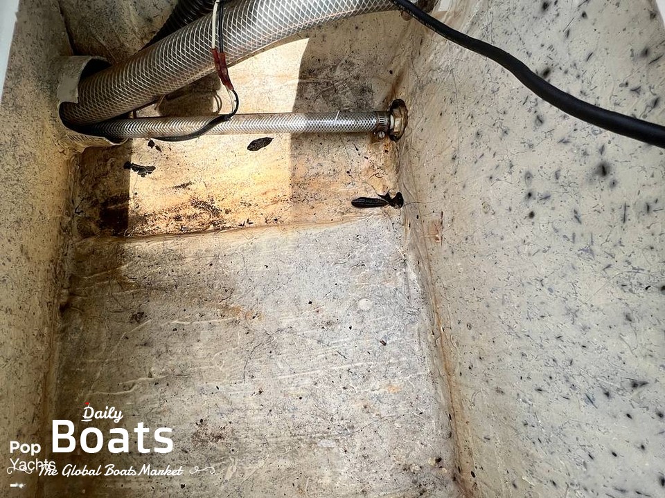 1997 Rabco Robin Custom for sale. View price, photos and Buy 1997 Rabco ...