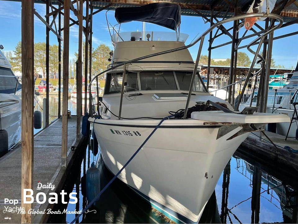 1984 Bayliner 3270 Explorer for sale. View price, photos and Buy 1984 ...