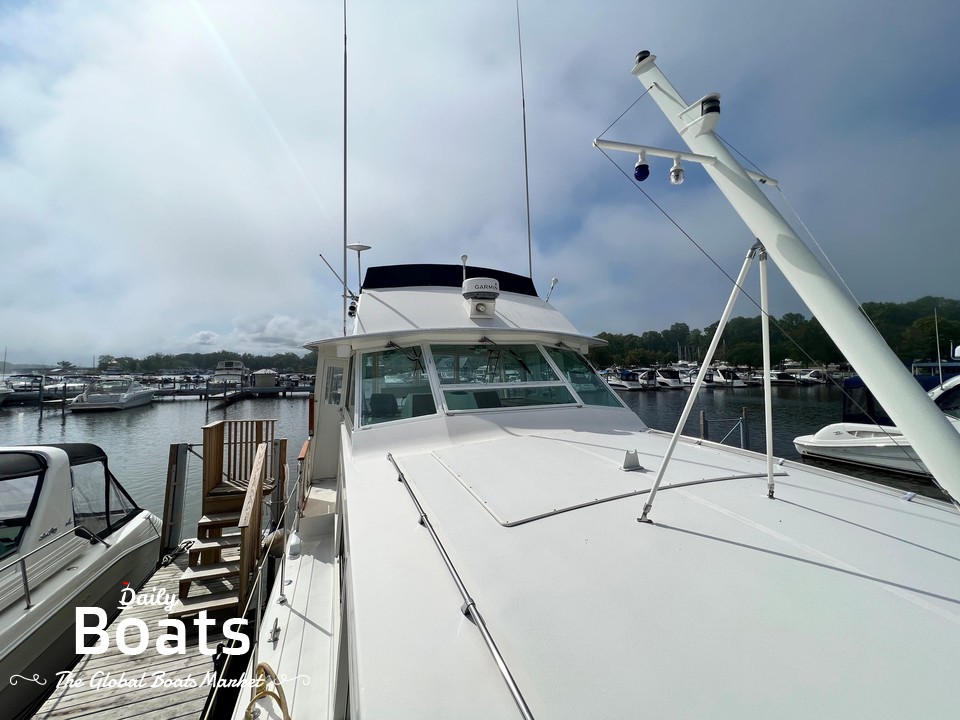 1979 Bertram 42 Flybridge Motor Yacht for sale. View price, photos and ...