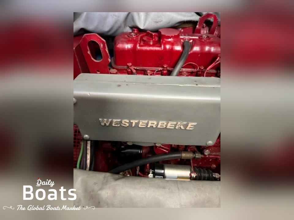 1990 Jersey Dawn 42 for sale. View price, photos and Buy 1990 Jersey ...