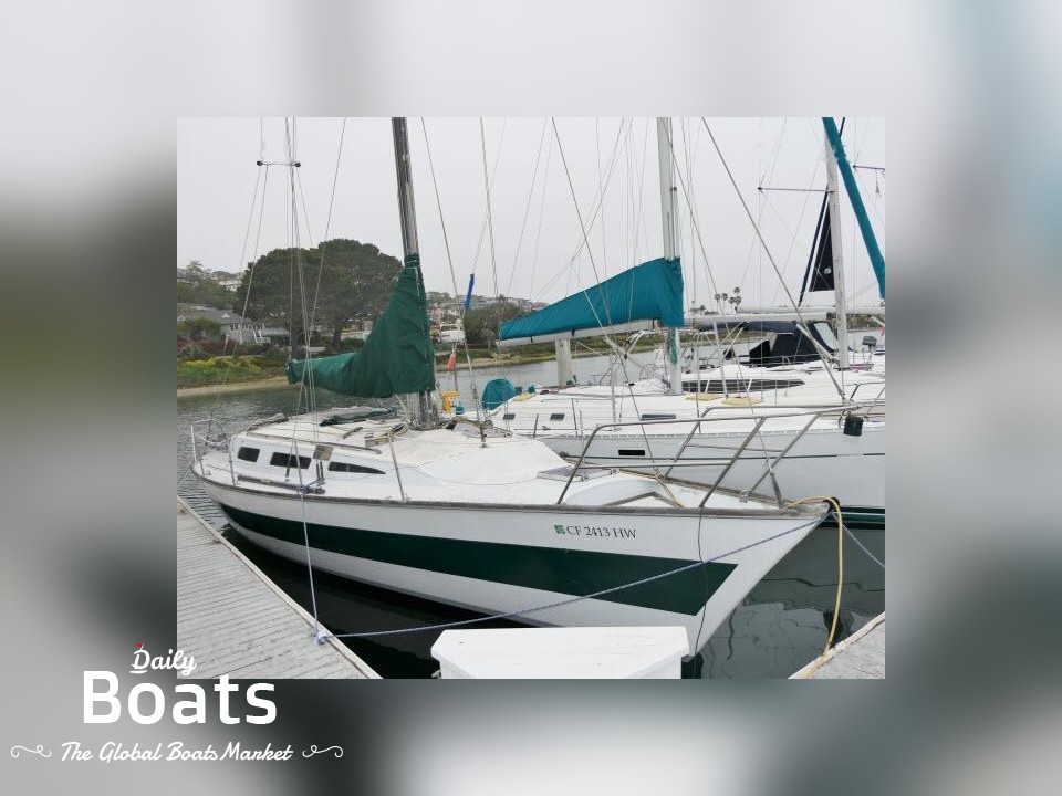 1982 Don Senior Antares 41 for sale. View price, photos and Buy 1982 ...