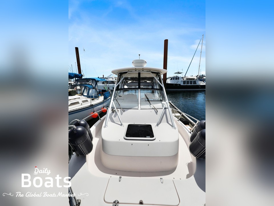 2004 White Grady Cuddy Boat Reviews