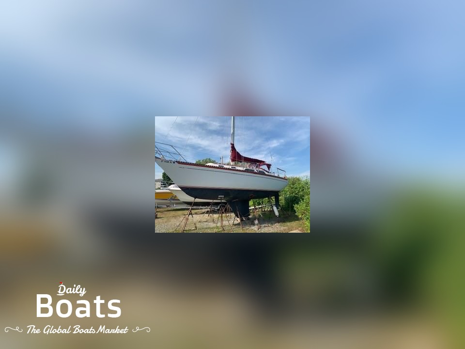 Motor boats Islander for sale - Daily Boats