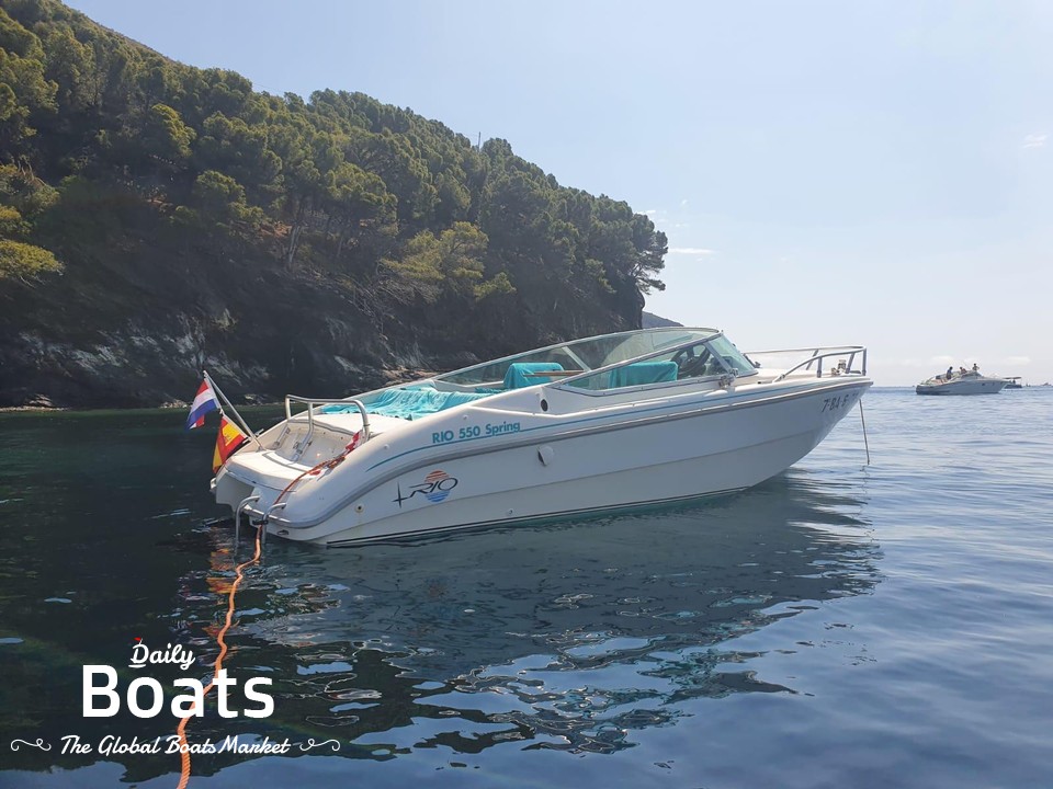 2002 RIO 550 Spring for sale. View price, photos and Buy 2002 RIO 550 Spring #490429