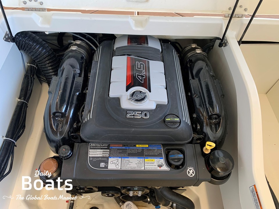 2021 Bayliner Dx2250 for sale. View price, photos and Buy 2021 Bayliner ...