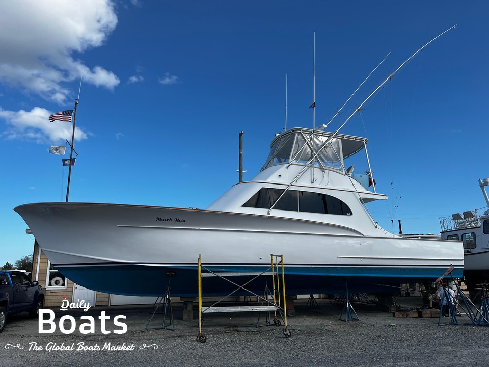 1987 Custom Carolina 51 Ricky Scarborough for sale. View price, photos ...