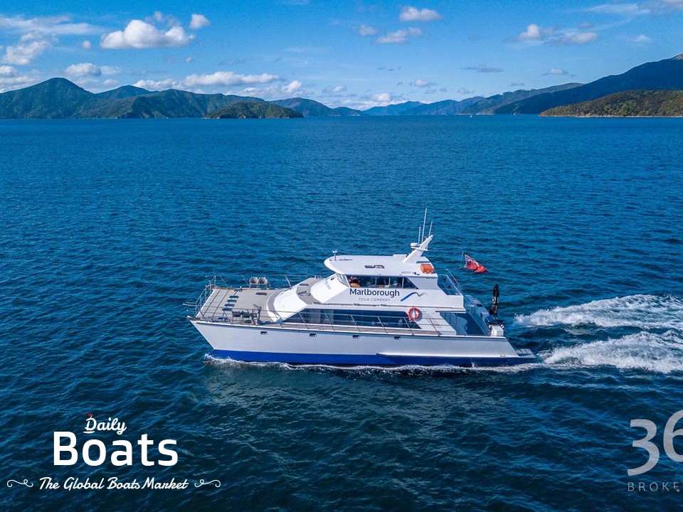 Catamarans for sale [Commercial only] - Daily Boats