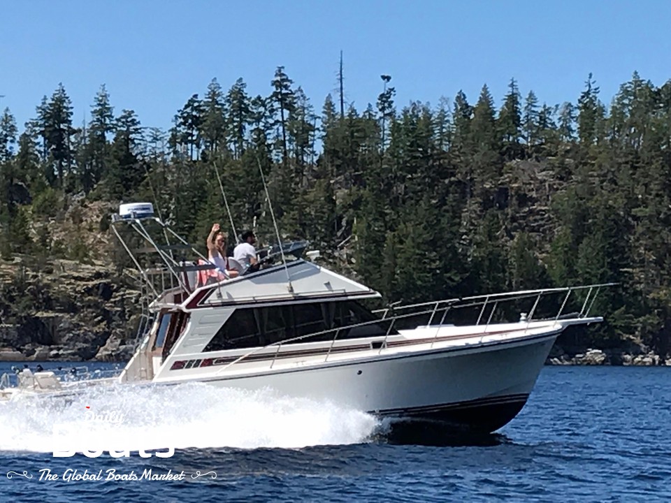 1989 Double Eagle 34 Flybridge Sportfish for sale. View price, photos ...