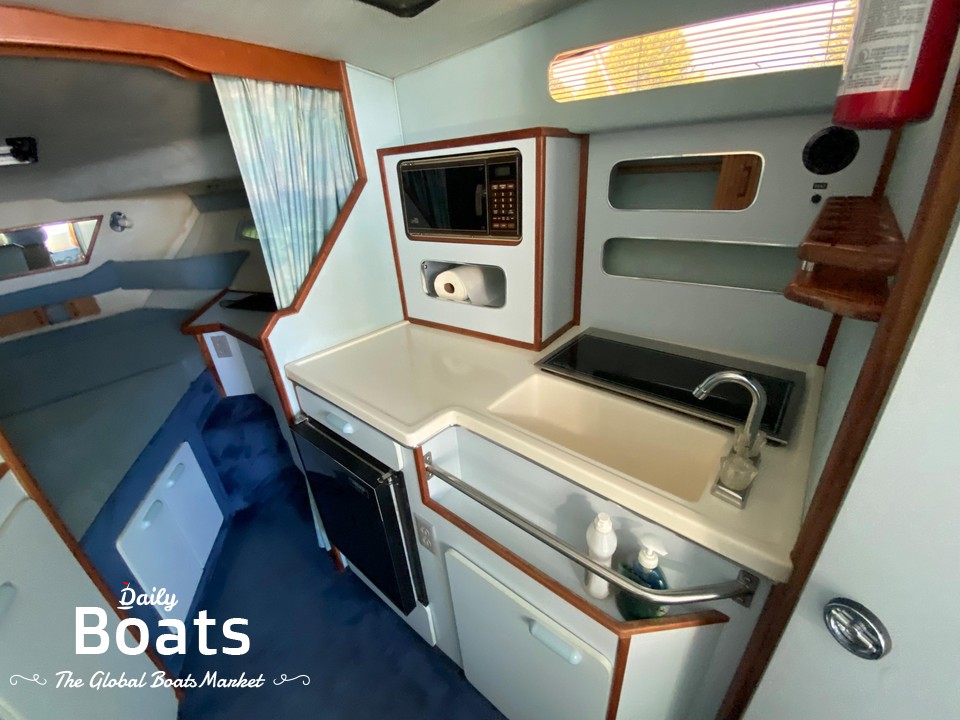 1989 Sea Ray 300 Weekender for sale. View price, photos and Buy 1989 ...
