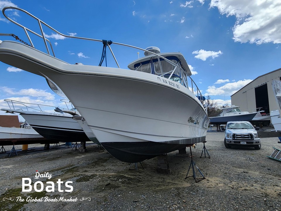 1995 Pro-Line 2950 Walkaround for sale. View price, photos and Buy 1995 ...