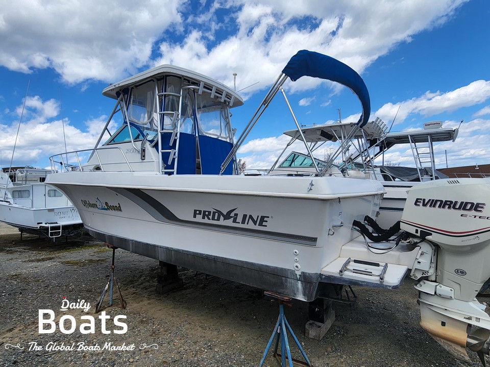 1995 Pro-Line 2950 Walkaround for sale. View price, photos and Buy 1995 ...