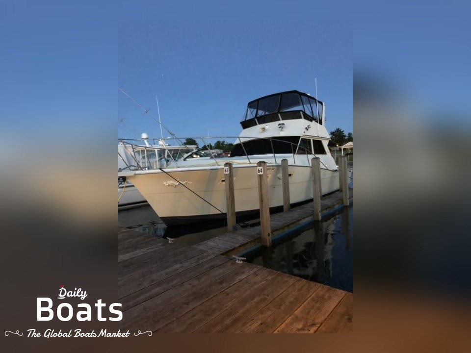 Viking 41 for sale - Daily Boats