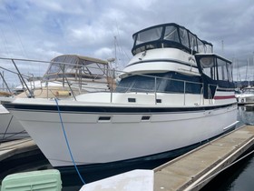 New Era Yachts - Daily Boats