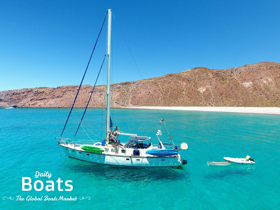 Maple Leaf in vendita - Daily Boats