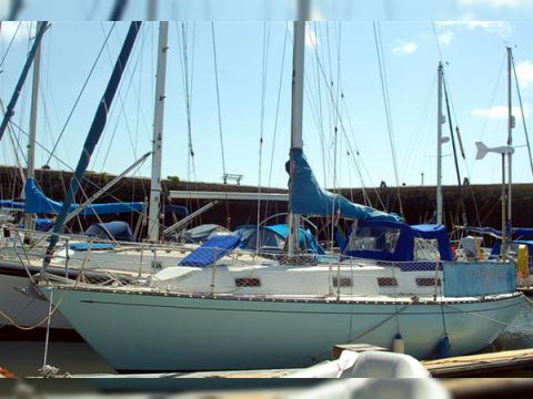 1990 Ring 26 for sale. View price, photos and Buy 1990 Ring 26 #5107