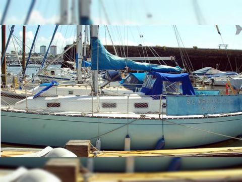 1990 Ring 26 for sale. View price, photos and Buy 1990 Ring 26 #5107