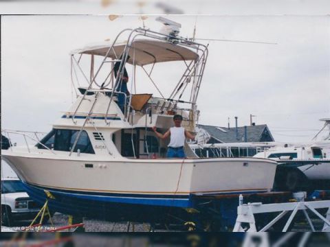 1986 Blackfin 29 Flybridge Convertible for sale. View price, photos and ...