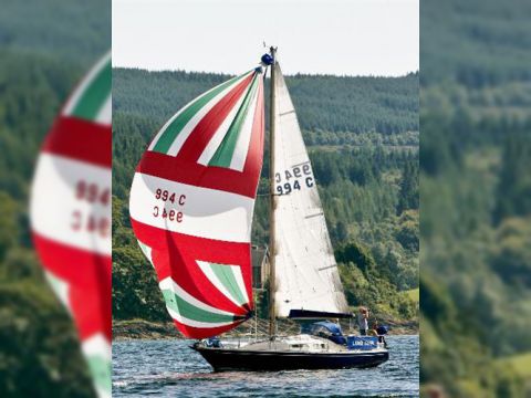 Buy Albin Ballad | Albin Ballad for sale