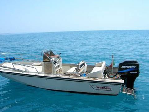 1987 Boston Whaler 18 Outrage for sale. View price, photos and Buy 1987 ...
